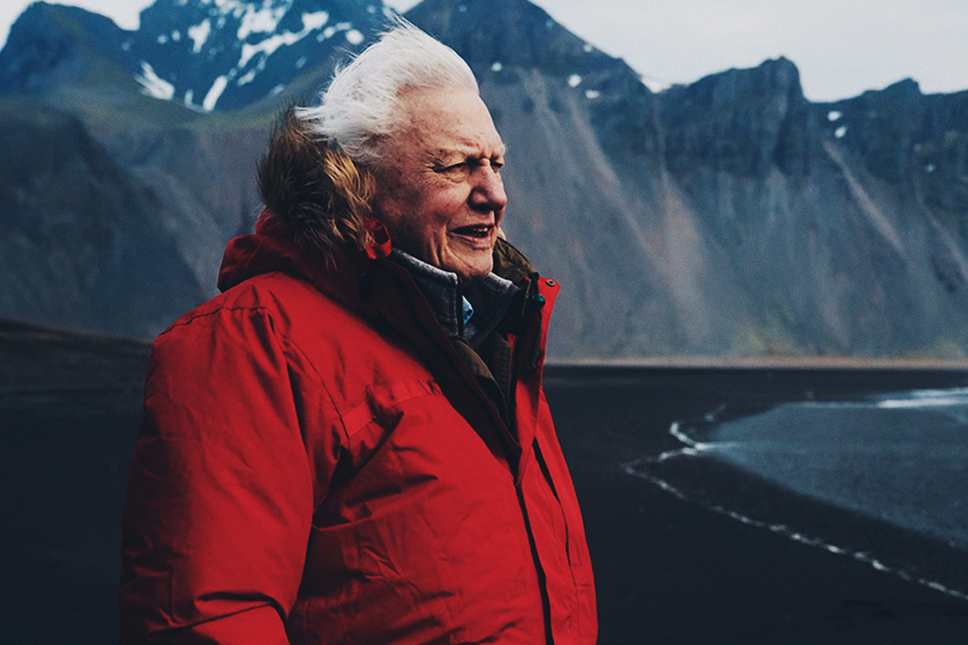 BBC Studios, ANZ | Elevate